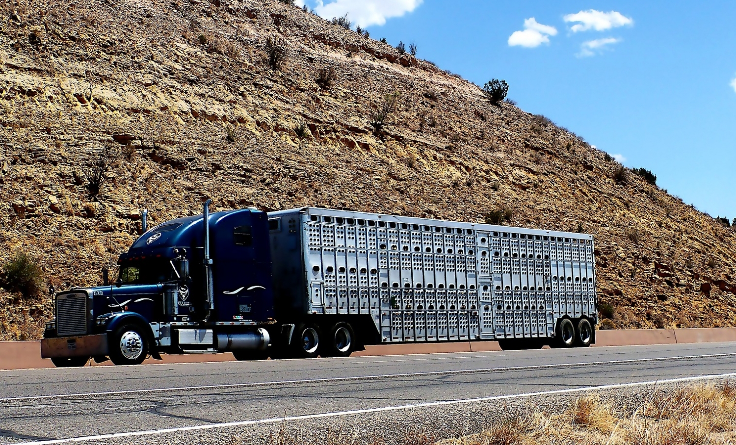 Commercial Truck Driving: 4 Things to Know - Drive My Way